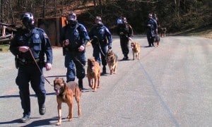 Police K9 Training | Tactical Police K9 Training