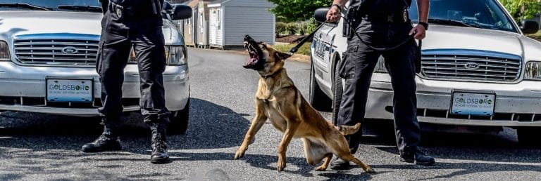 Police K9 Dog Handler Courses - K9 Handler School Training
