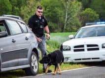 Police K9 Dog Handler Courses - K9 Handler School Training