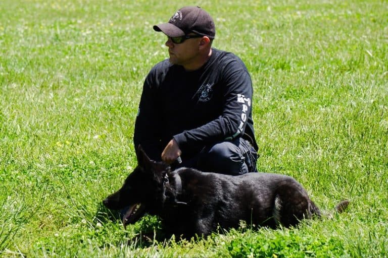 Maximize the Value of Your Next Police K9 Seminar