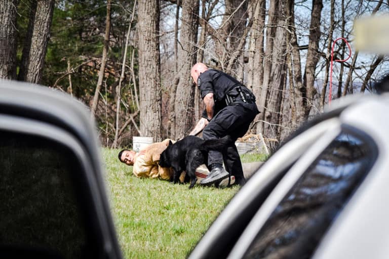 Become a Certified Police K9 Instructor and Trainer