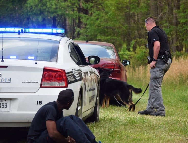 Effective Prosecution of K9 Detection Cases | Tactical Police K9 Training