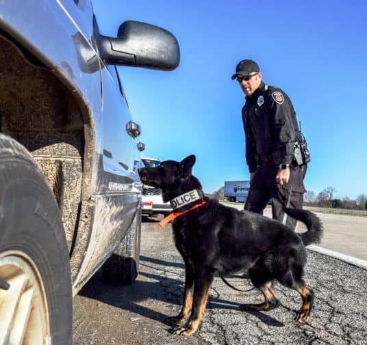 Effective Prosecution of K9 Detection Cases | Tactical Police K9 Training