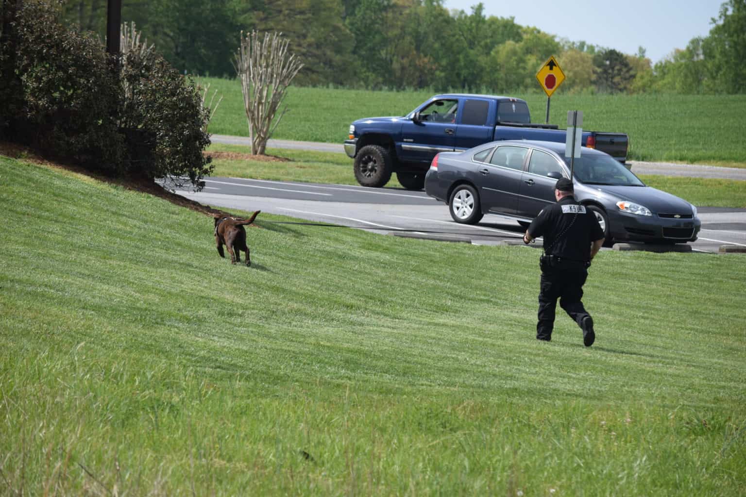 Why You Should Be Running Blind Trails | Tactical Police K9 Training
