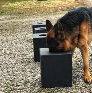 Bomb Detection Dogs - Police & Military K9 Sales and Training