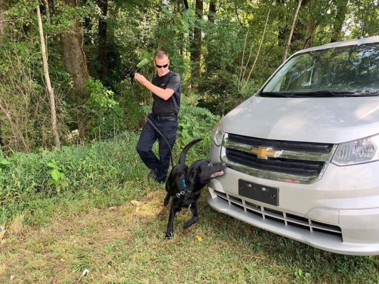 How Do Detection Dogs Find Drugs? | Tactical Police K9 Training