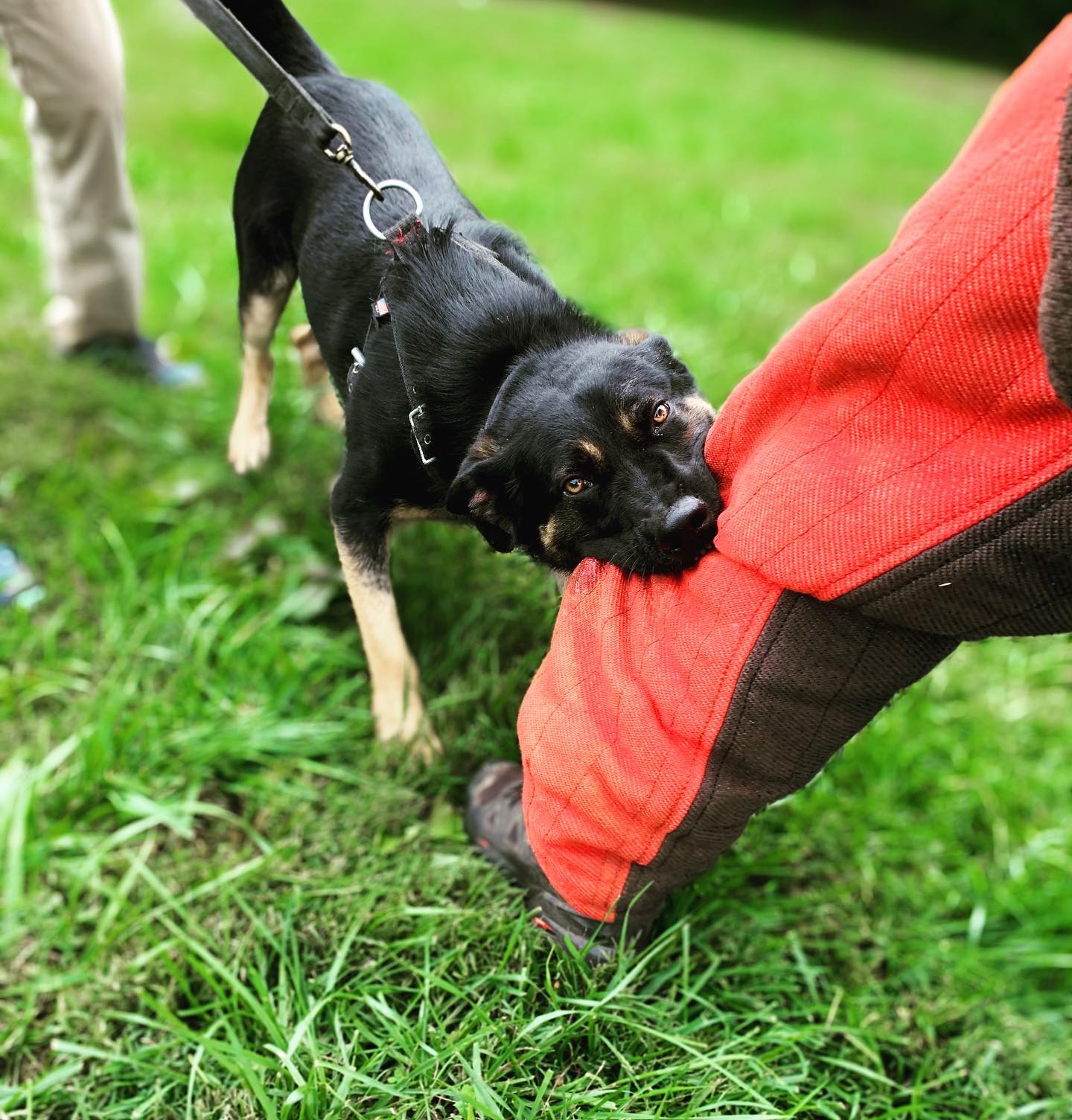 Why A Good Grip For Apprehension Is So Important (And How To Get One ...