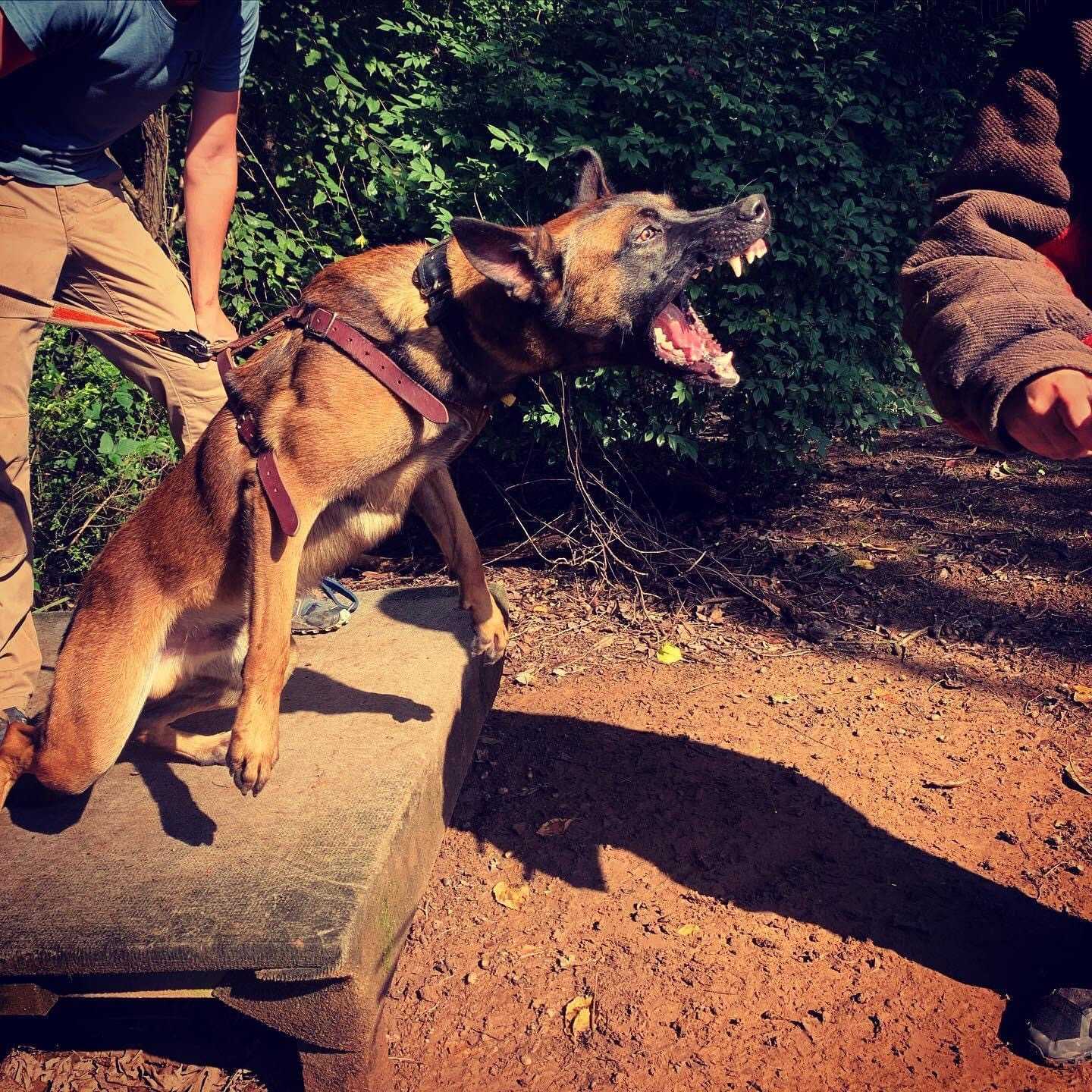 Why A Good Grip For Apprehension Is So Important (And How To Get One ...
