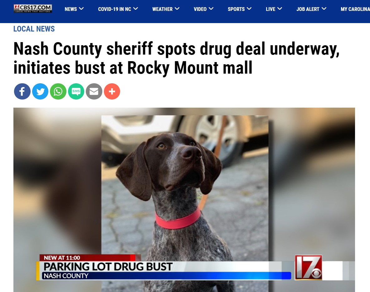 Drug Detection Dogs | Tactical Police K9 Training