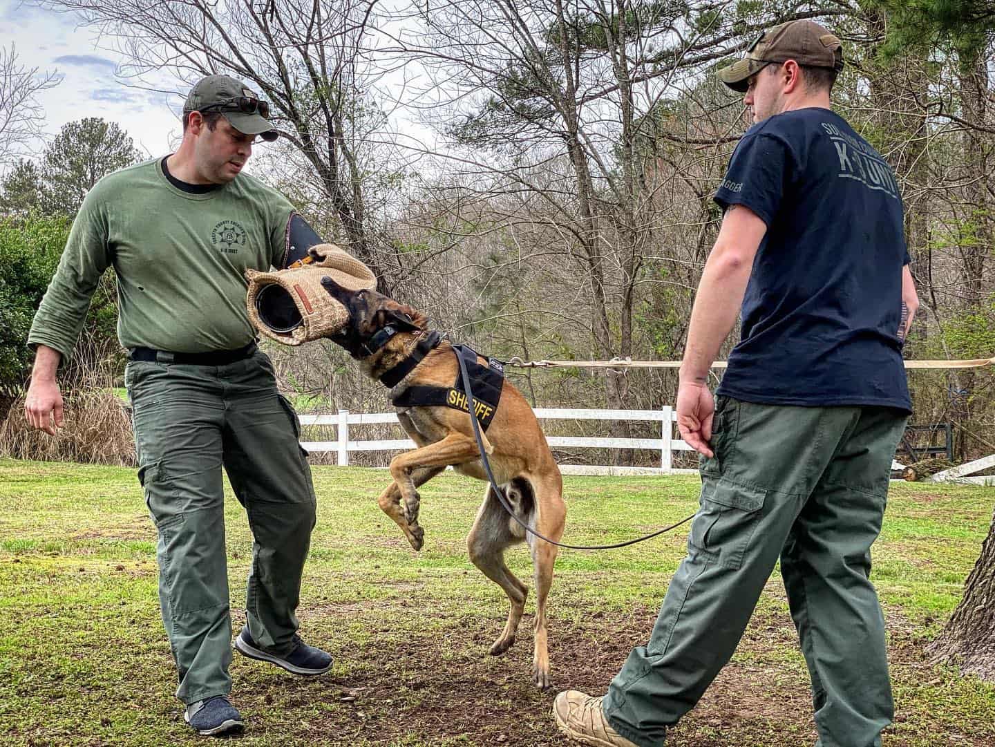 Teaching Apprehension K9s To Target: All You Need To Know | Tactical ...