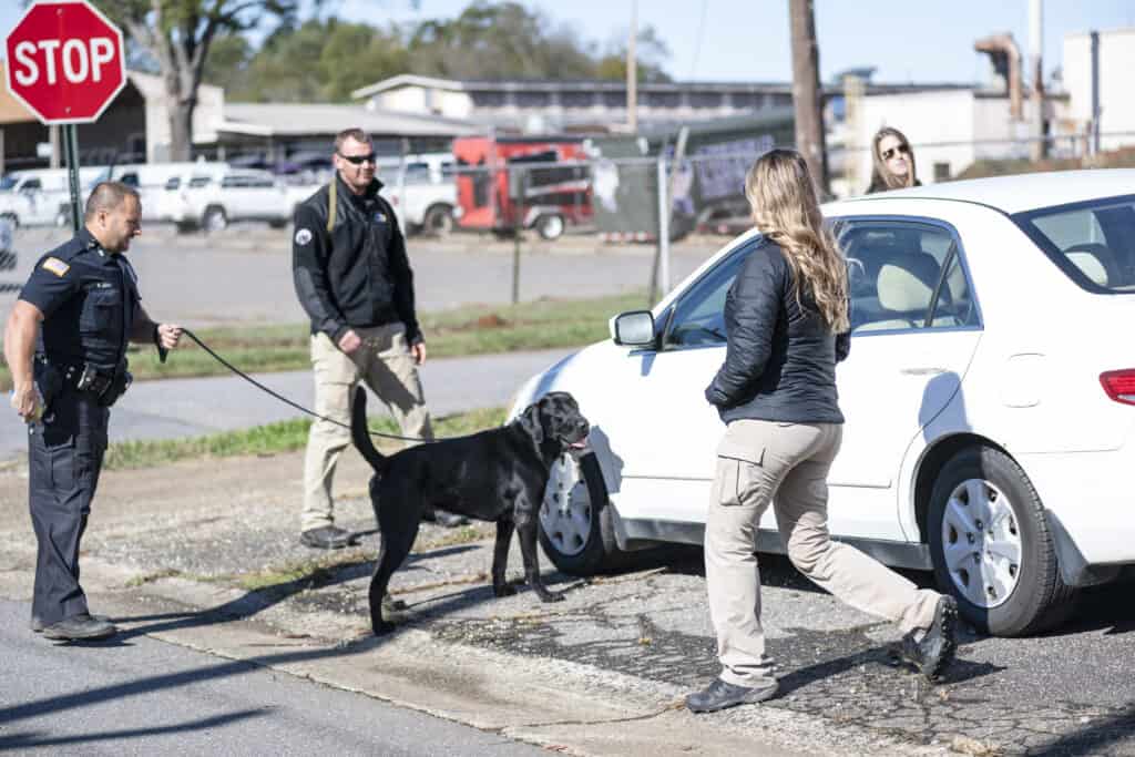 Police K9 Training and Sales, Offering Unbeatable Services Globally