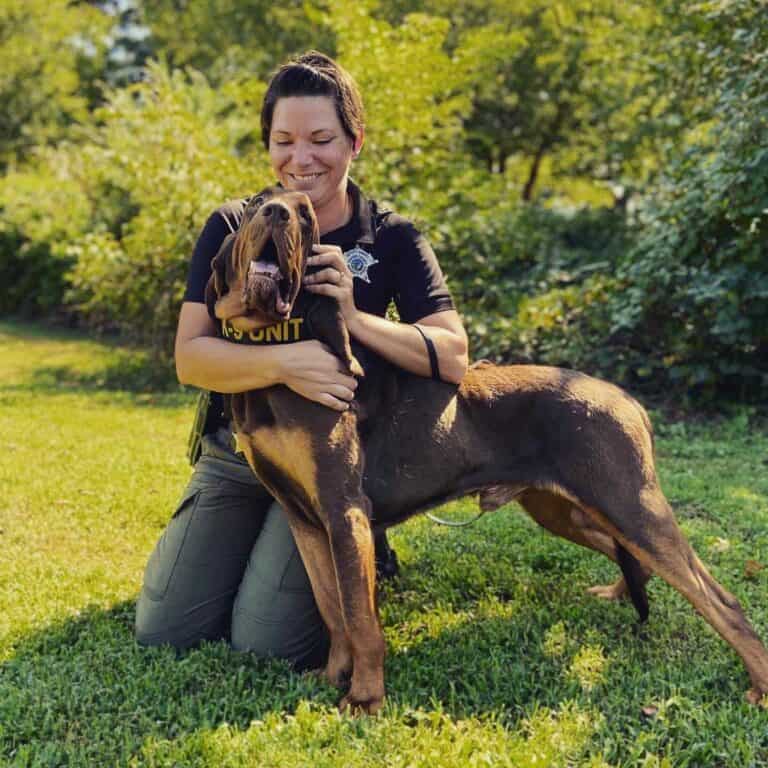 10 Popular Dog Breeds Used In Police K9 Work | Tactical Police K9 Training