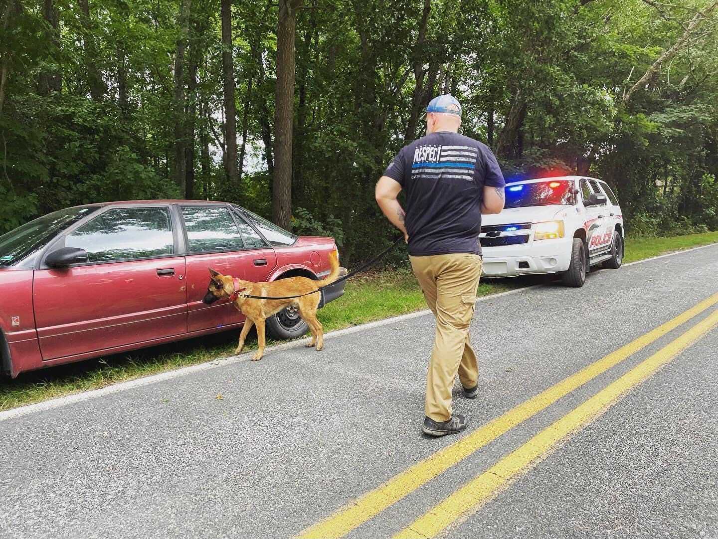 Five Things To Consider When Choosing A K9 Handler Course | Tactical ...