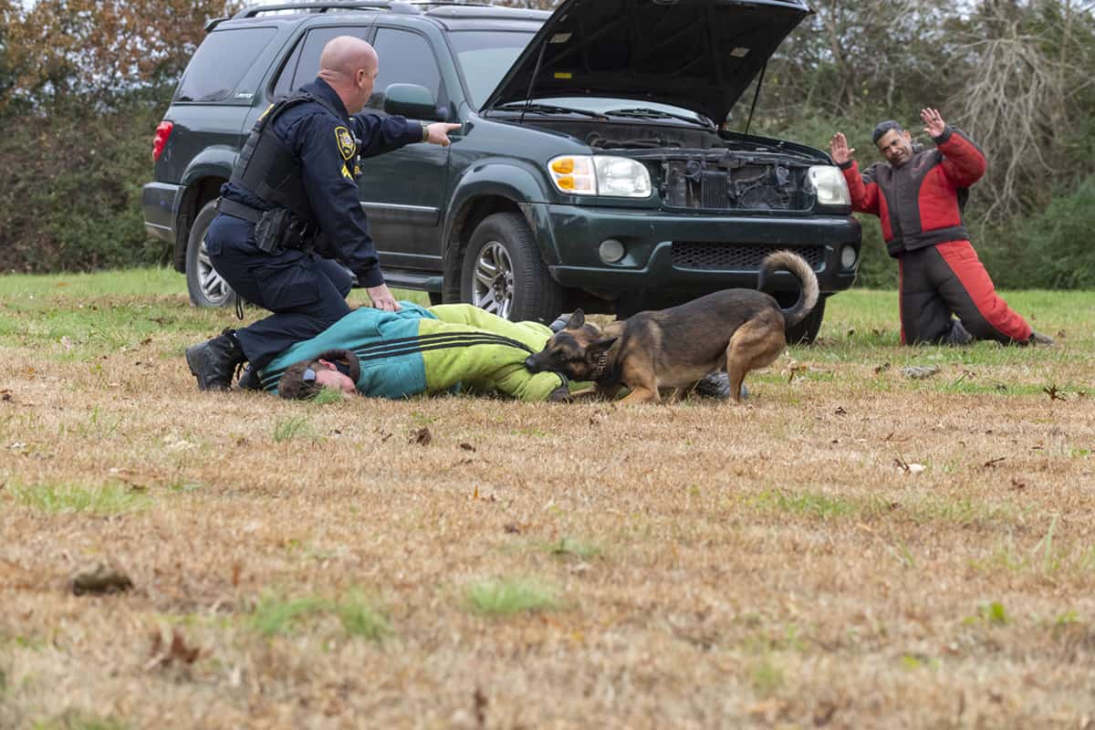 Eight Important Factors For An Effective Police Dog | Tactical Police ...