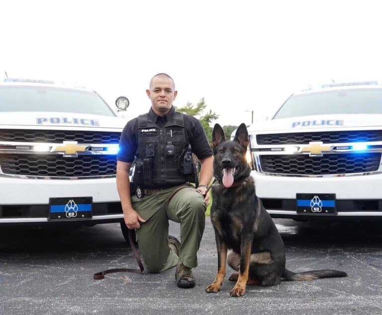 10 Popular Dog Breeds Used In Police K9 Work | Tactical Police K9 Training
