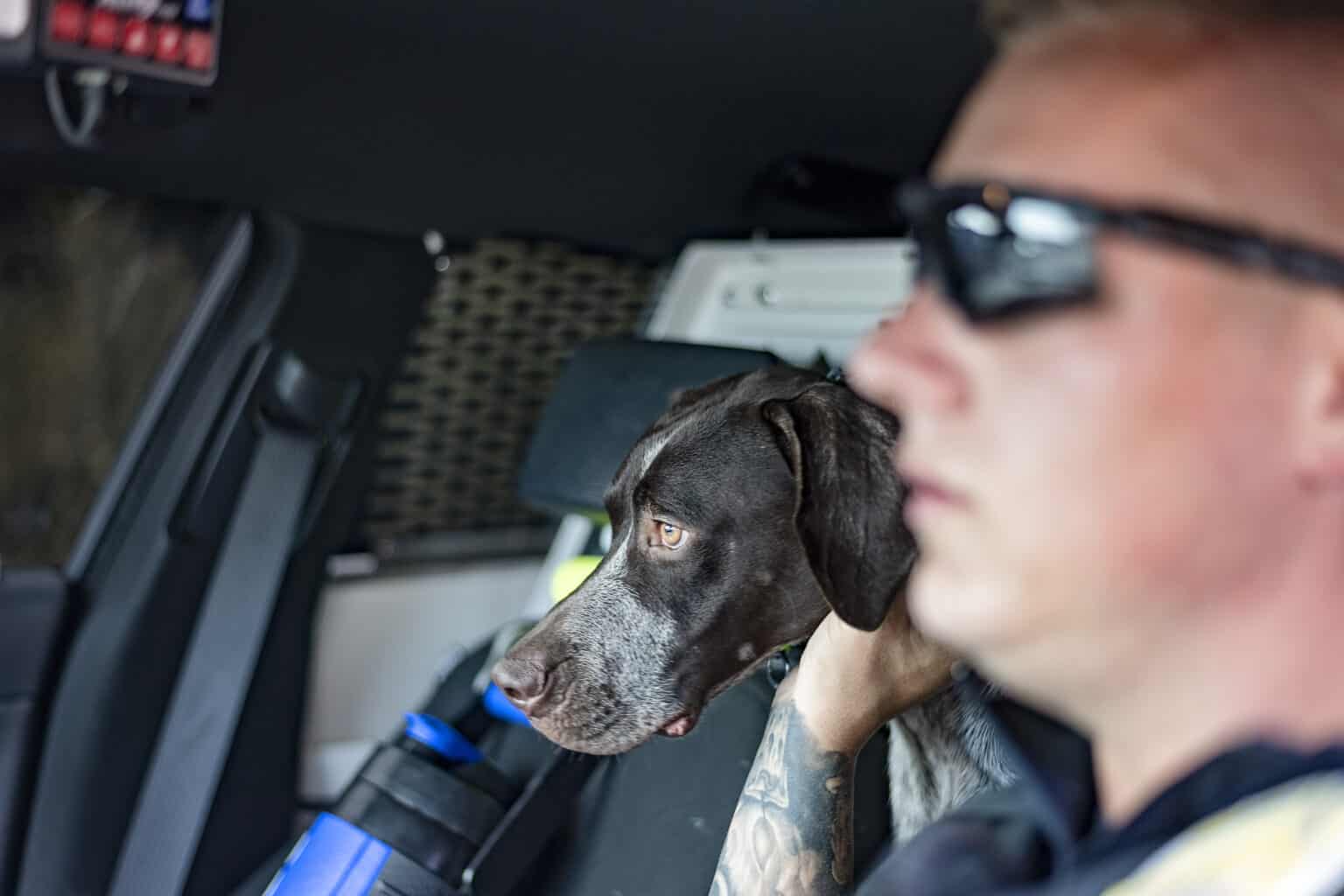 Start To Finish: Training A Successful Drug Detection Dog | Tactical ...