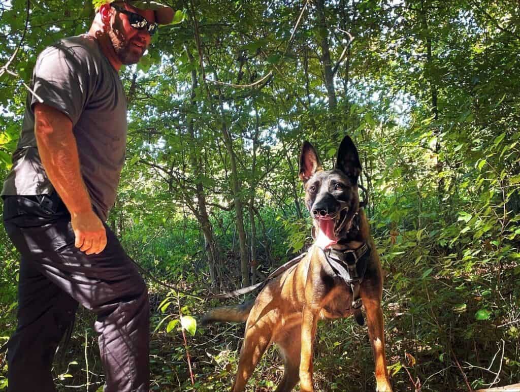 How To Become A Police K9 Handler | Tactical Police K9 Training