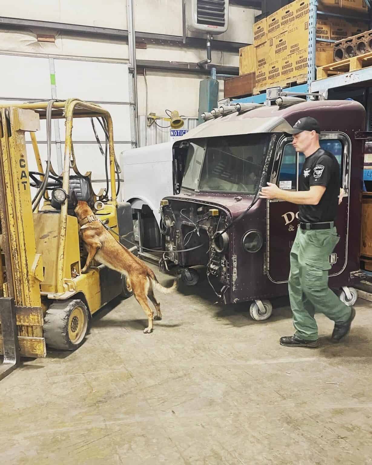 How To Become A Police K9 Handler | Tactical Police K9 Training