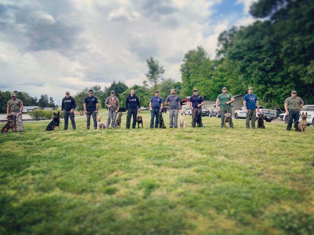 How To Become A Police K9 Handler | Tactical Police K9 Training