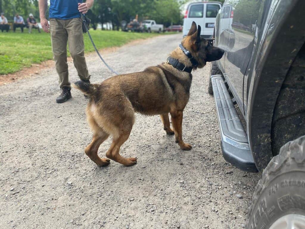 Start To Finish: Training A Successful Drug Detection Dog | Tactical ...