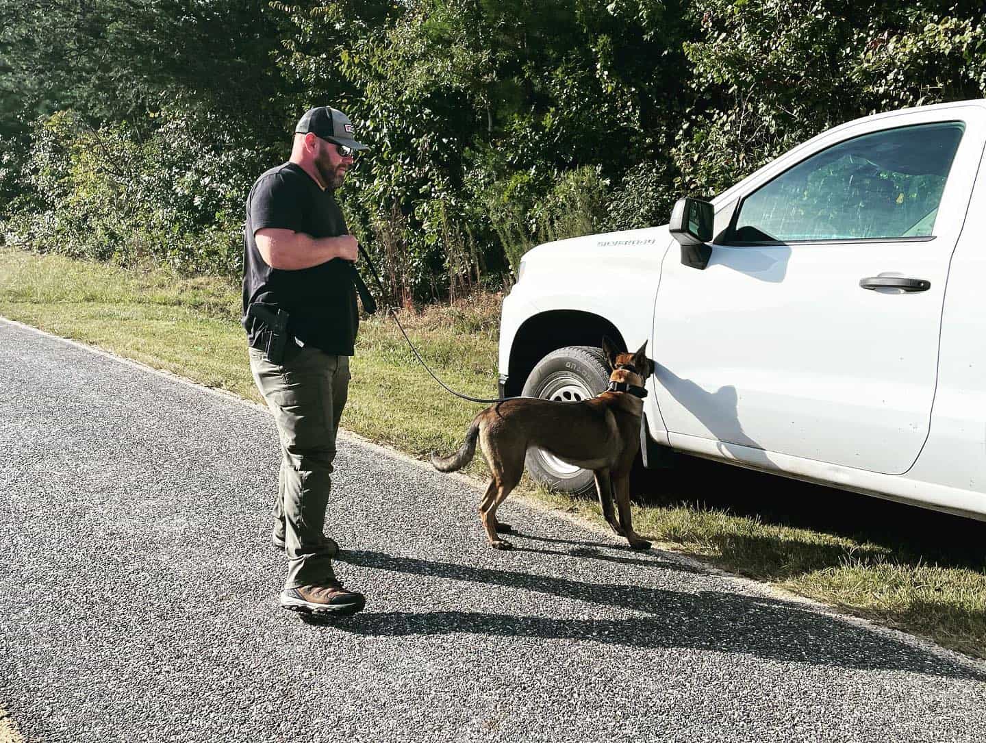 Why Detection Dogs Should Never Gamble | Tactical Police K9 Training