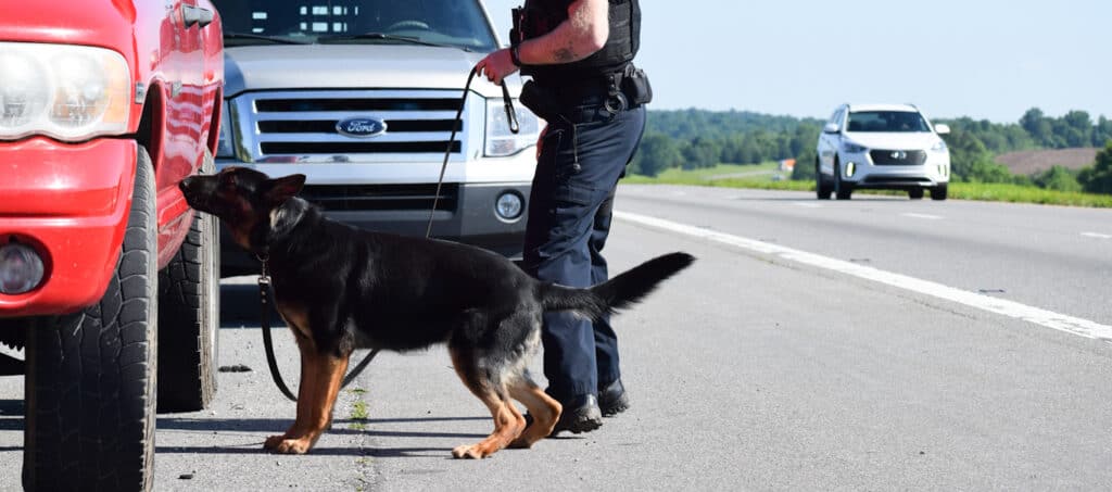 Online K9 Training Programs | Tactical Police K9 Training
