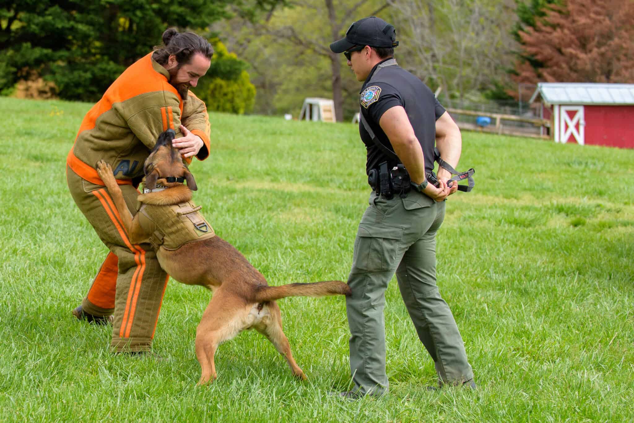 To Make Or Break A Patrol Dog | Tactical Police K9 Training